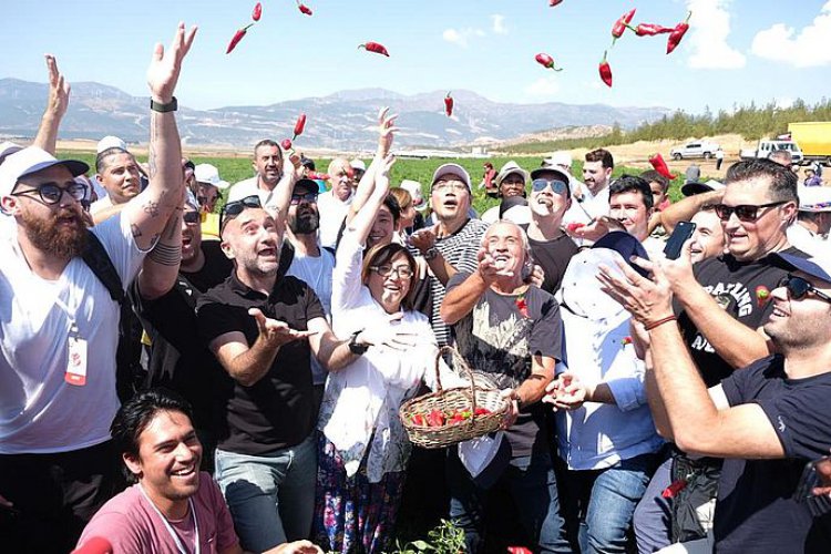 GAZİANTEP GASTRONOMİ FESTİVALİ BAŞLADI - Turizm Dosyası